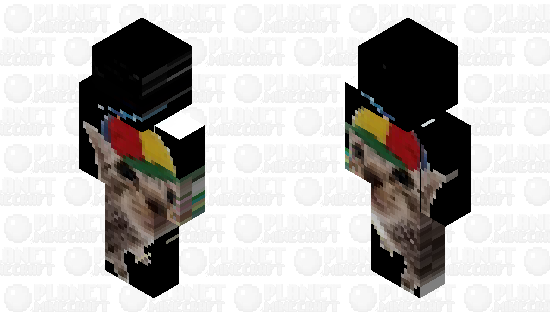 Silly Cat with Propeller hat and lolipop Minecraft Skin