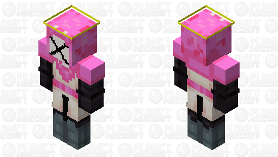 Pink Knight Hooded form #2 Minecraft Skin