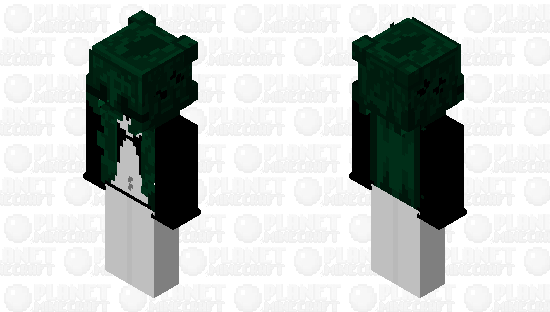 *CUSTOM* Minecraft Skin