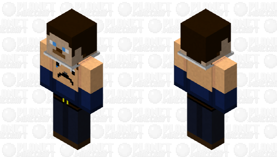 Head Bearer Steve's Head Minecraft Skin