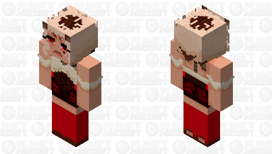 Curious Minecraft Skin