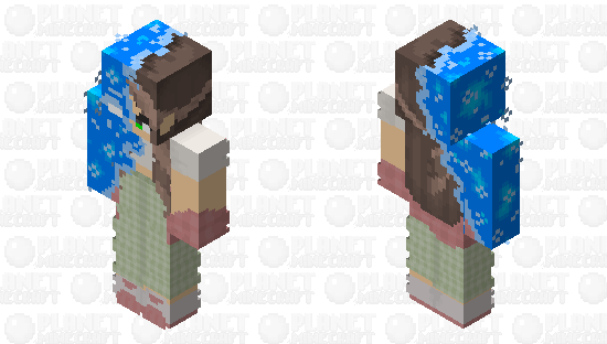 Winter Skin for Minecraft Minecraft Skin