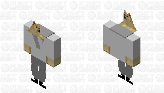 Winter Doge With Scarf Minecraft Skin