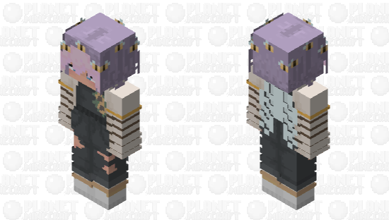 Bee orgin Minecraft Skin