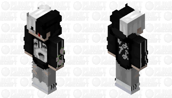 Special Minecraft Skin