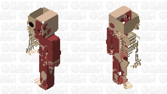 Anatomy of a Skin Minecraft Skin
