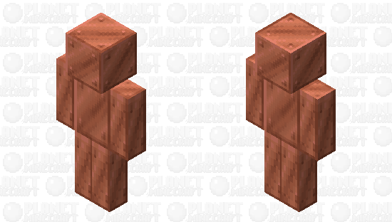 Copper man Minecraft Skin