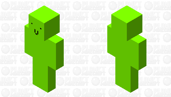 Whata Heck Minecraft Skin