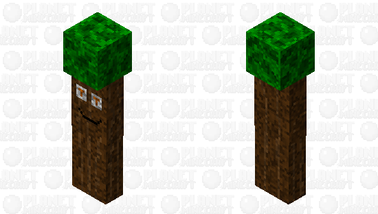 Tree of wisdom Minecraft Skin