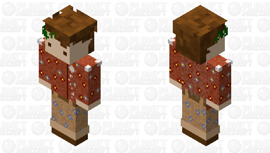 the librarian's assistant Minecraft Skin