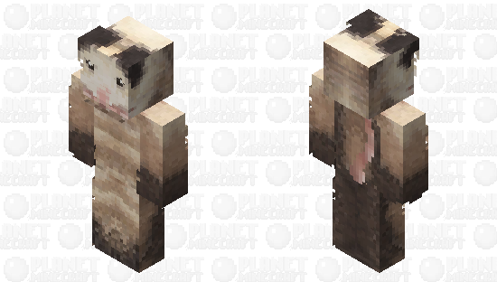 Possums! Minecraft Skin
