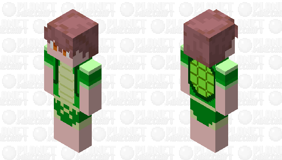 Noi - Turtle Minecraft Skin