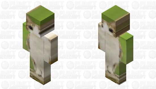 Meowl Minecraft Skin