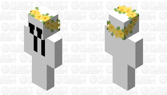 Craft 44 Minecraft Skin