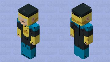 Invincible Minecraft Collection