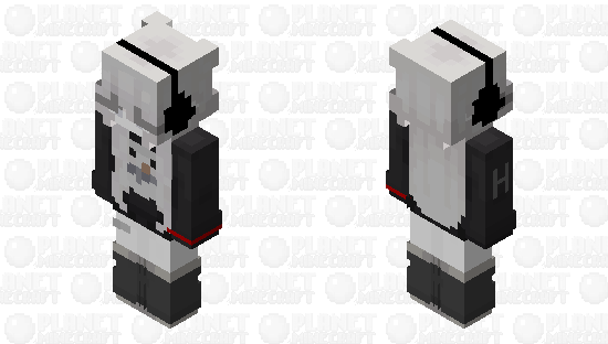 Happy happy happy Minecraft Skin