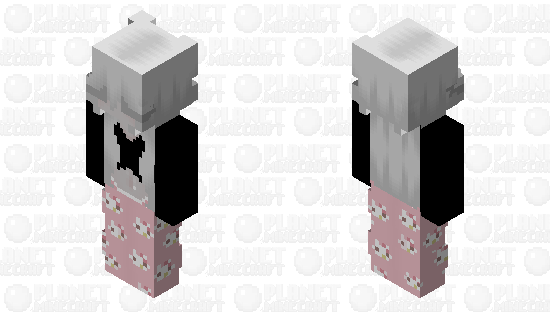 pjs 2 Minecraft Skin