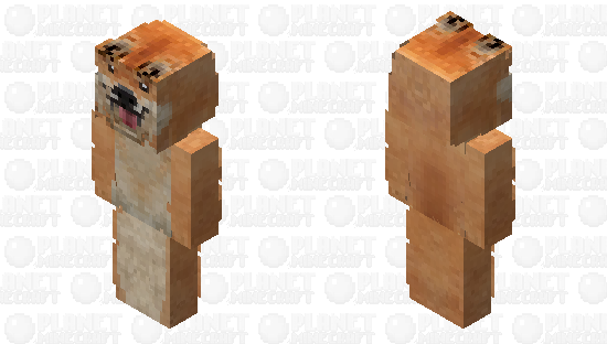 Shiba Inus Minecraft Skin