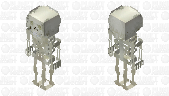 Skeleton Minecraft Skin