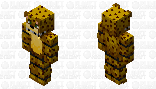 Patches Minecraft Skin