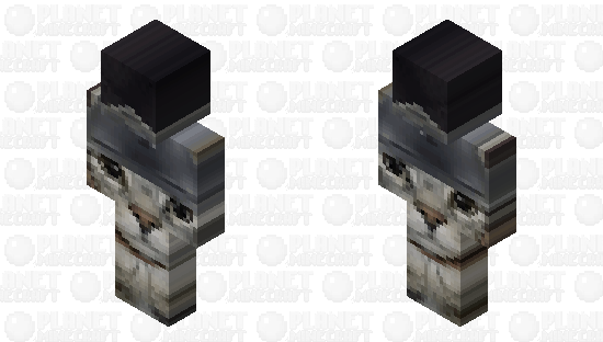 War cat Minecraft Skin