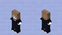 SMALL ZINITSU~ Minecraft Skin