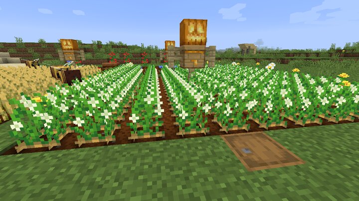 Di's Tweaks Minecraft Texture Pack