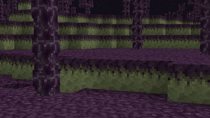 End Biomes [1.16] Minecraft Texture Pack