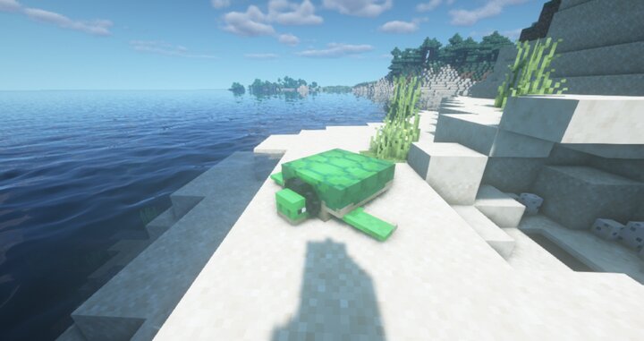 Turtles++ Minecraft Texture Pack
