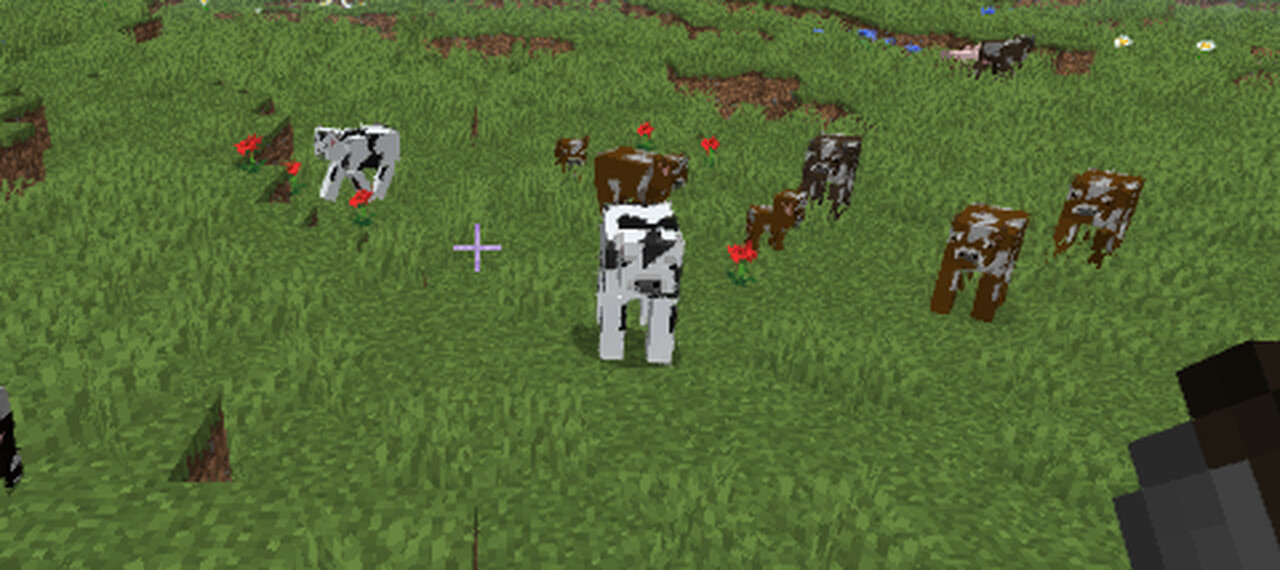 Variations Minecraft Texture Pack