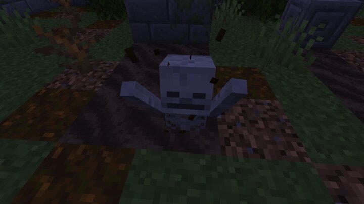 Evoker To Necromancer Minecraft Texture Pack