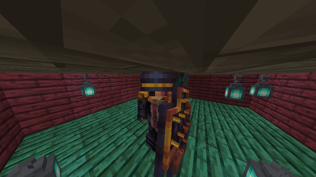 mw - cit texture pack 1.16 the coool Minecraft Texture Pack