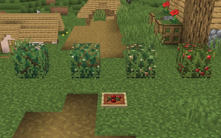 Berry Bush Blocks! Minecraft Texture Pack