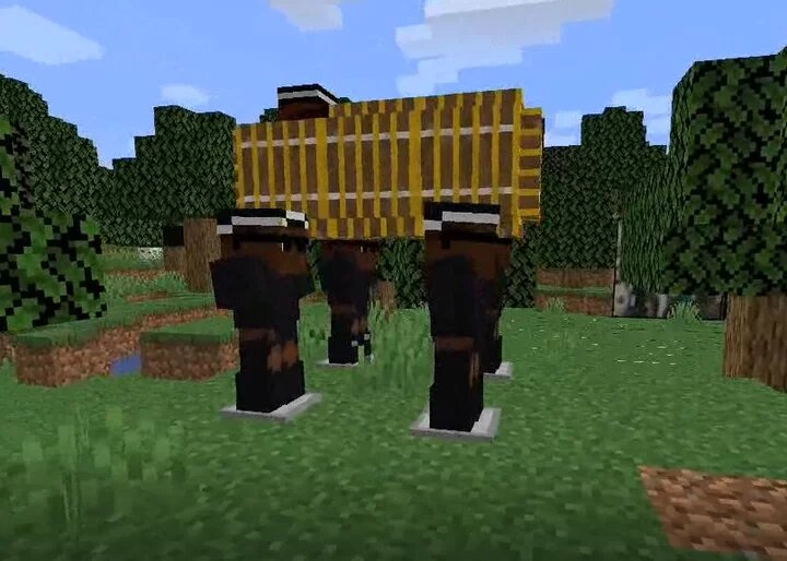 Coffin Meme Resource Pack 1.16 Minecraft Texture Pack