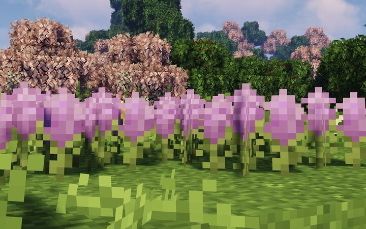 Alliums to lavender Minecraft Texture Pack