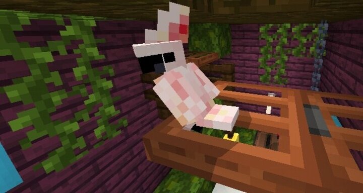 Parrot Textures Minecraft Texture Pack