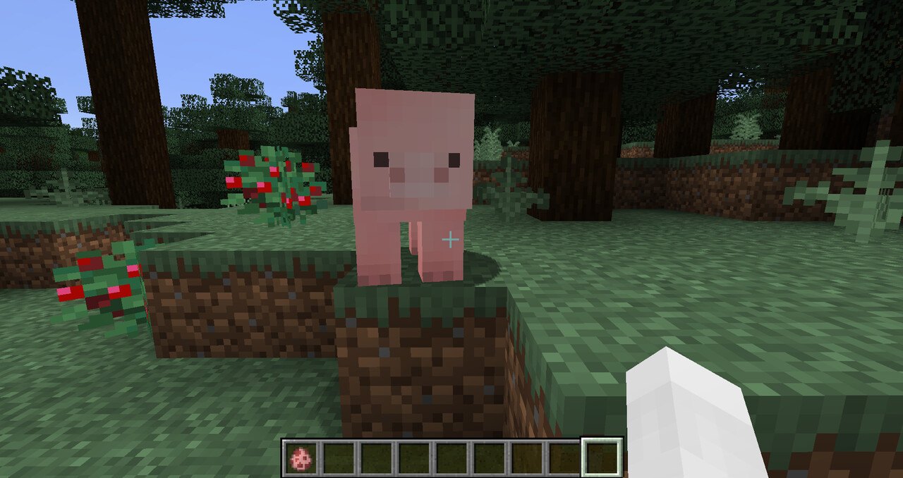 Funny entities Minecraft Texture Pack