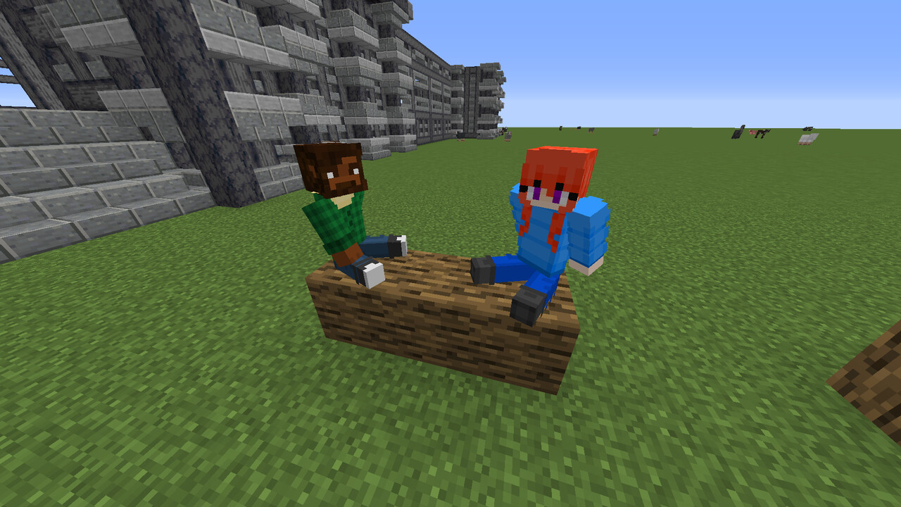 EditNPCs Minecraft Texture Pack