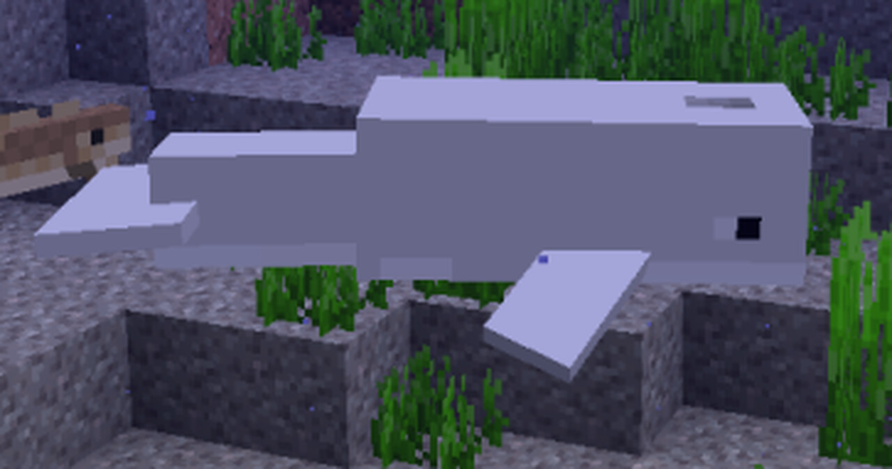 More dolphins varities (requires optifine) Minecraft Texture Pack