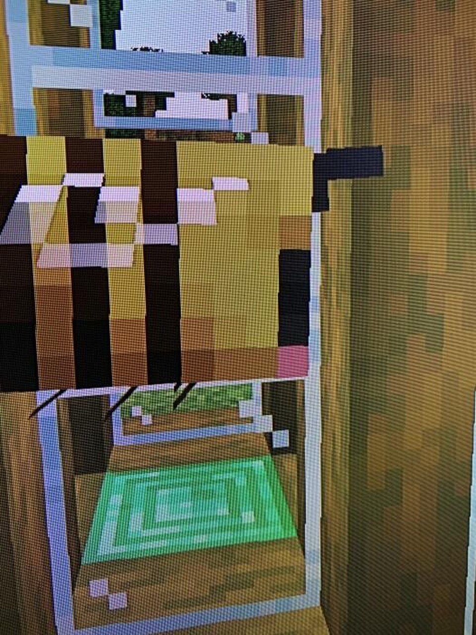 Blushing Bees V1 (1.16.5) Minecraft Texture Pack