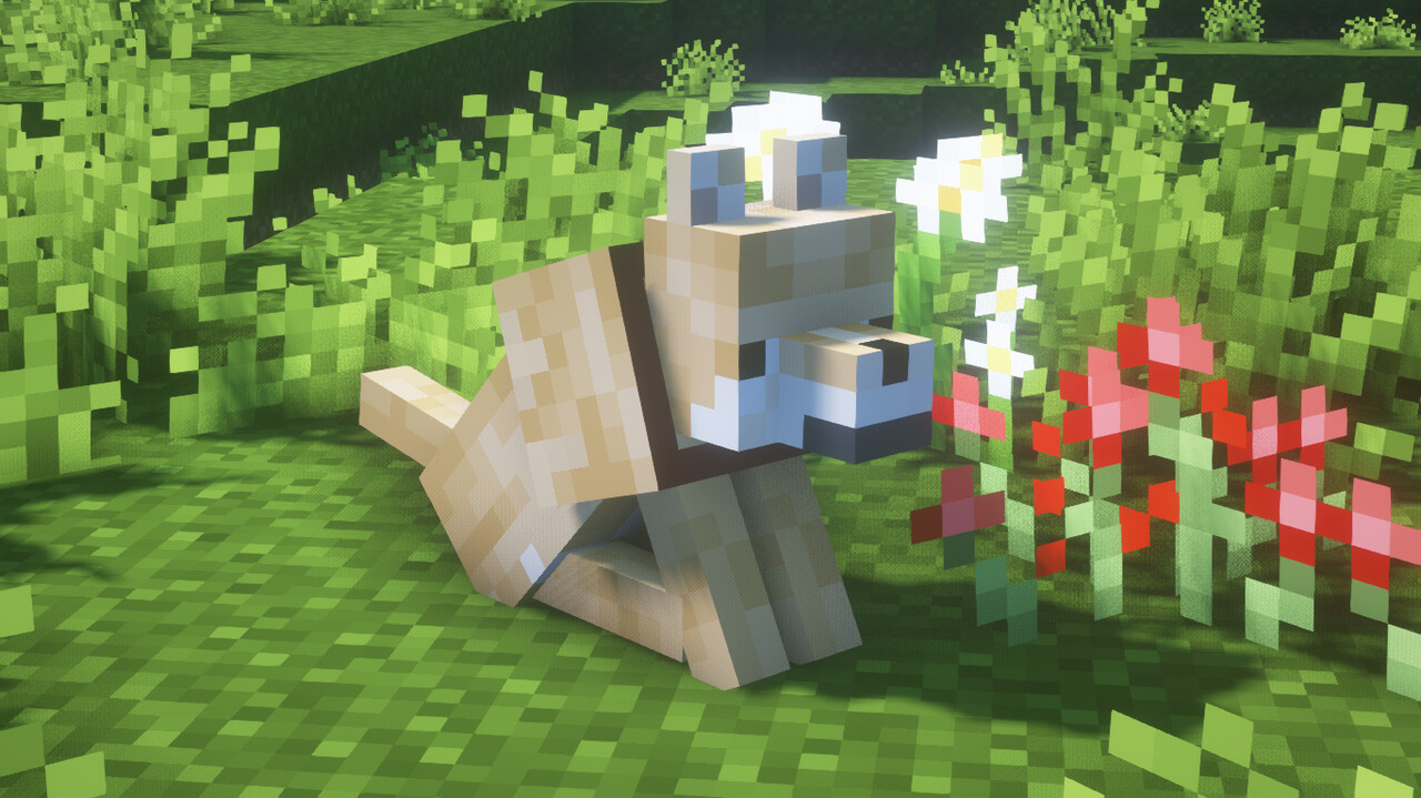 Shiba Inu Minecraft Texture Pack