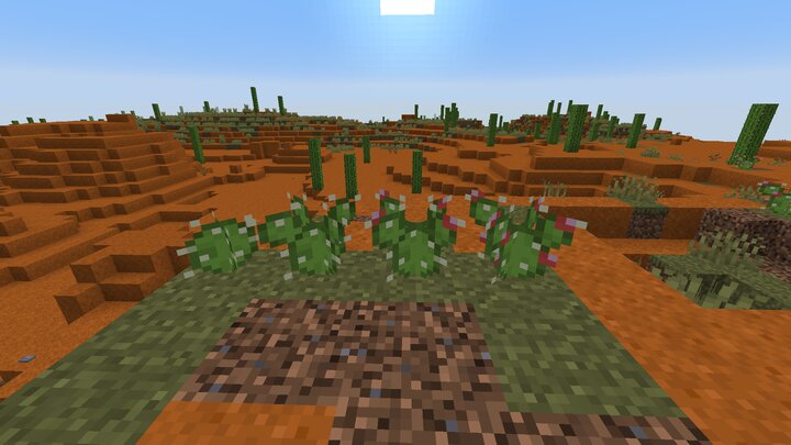 William Wythers' Better Cacti Minecraft Texture Pack