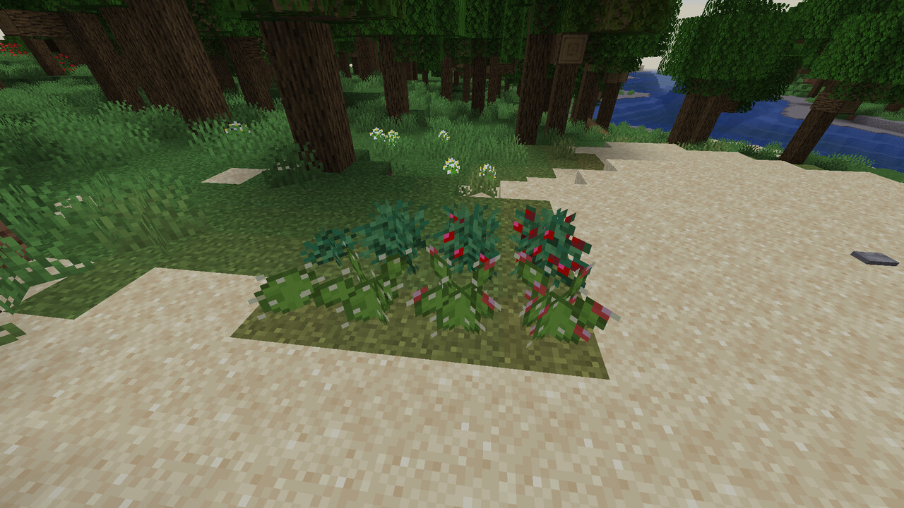 William Wythers' Better Cacti Minecraft Texture Pack