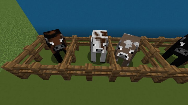 PolishCows + chickens Minecraft Texture Pack