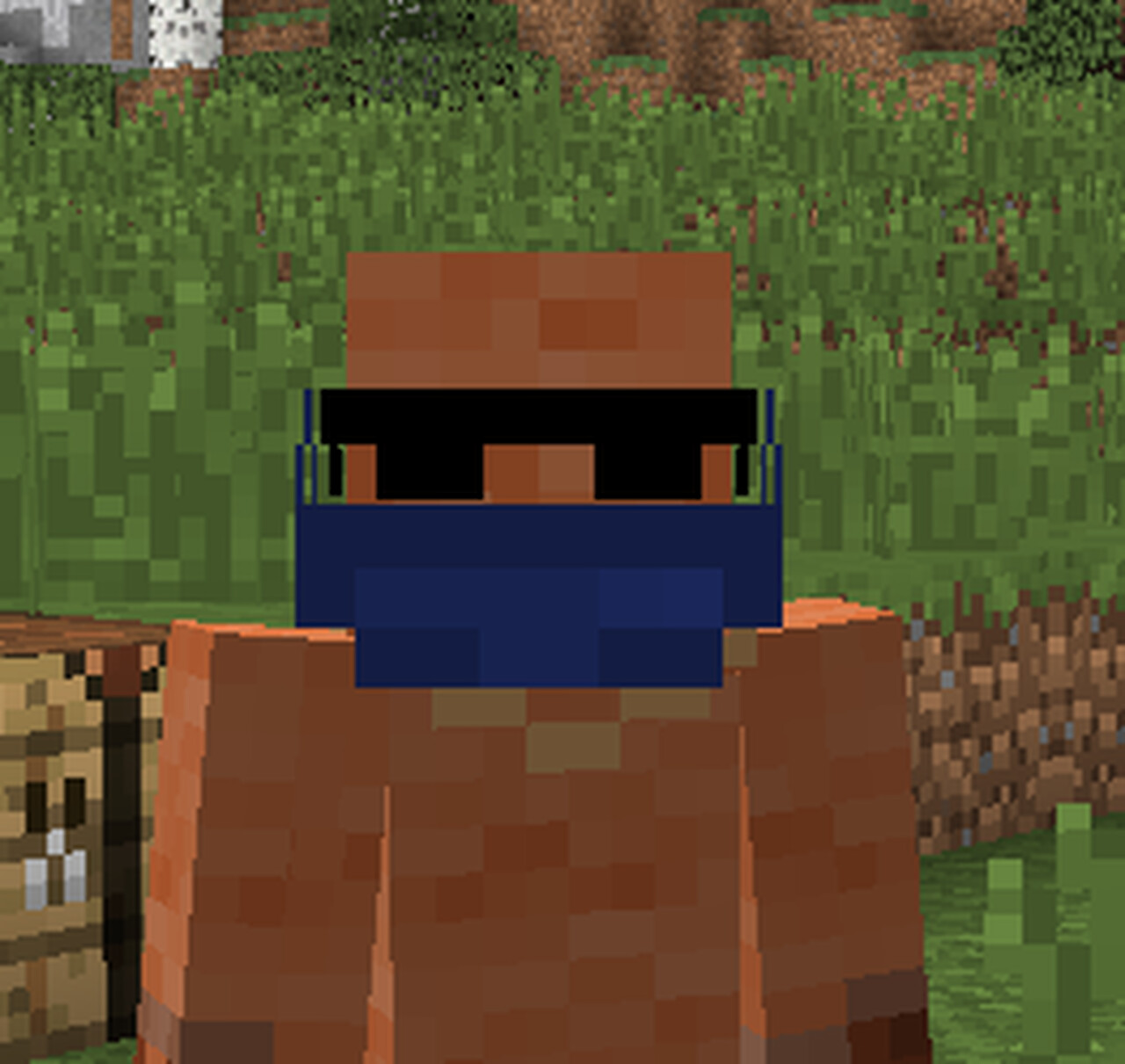 Leather Masks Minecraft Texture Pack