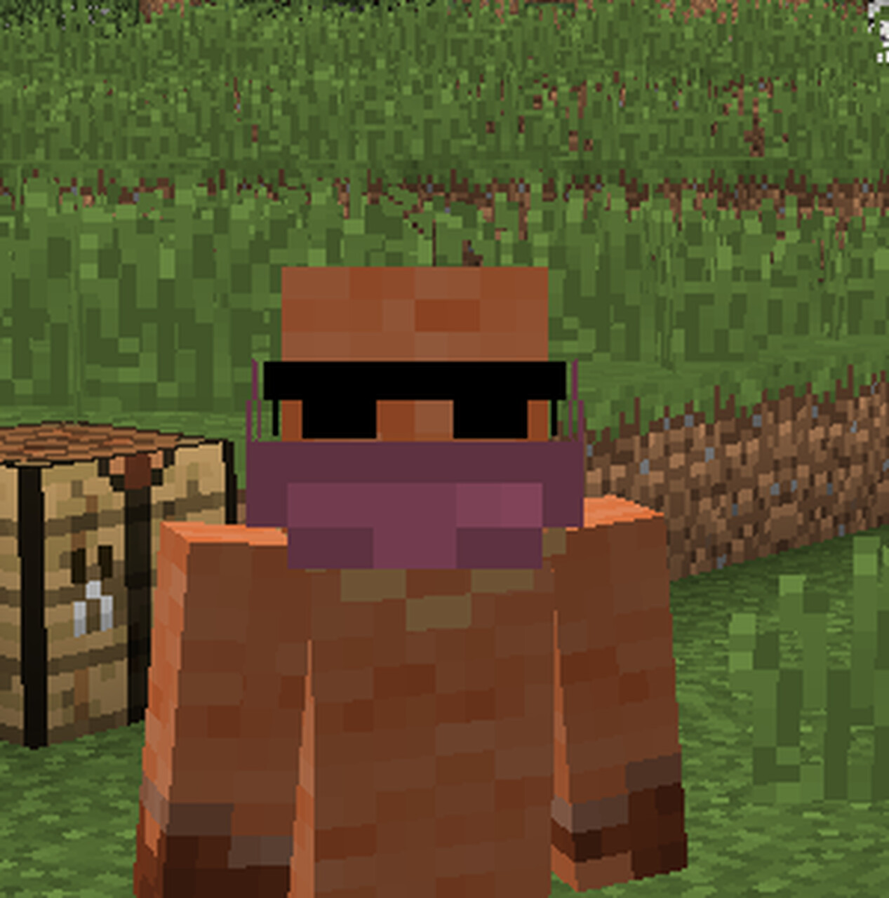 Leather Masks Minecraft Texture Pack