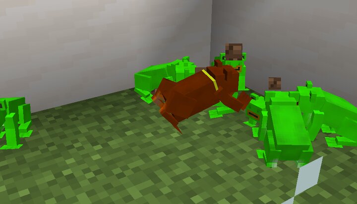 Frog/toad pack Minecraft Texture Pack