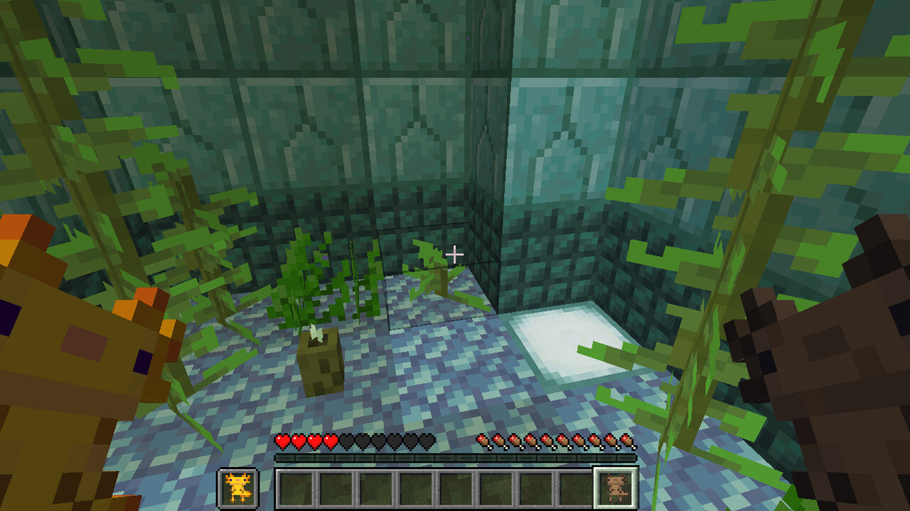 Torrezx-Totems Axolotls ! Minecraft Texture Pack