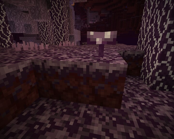 Chorus Warped Forest Minecraft Texture Pack