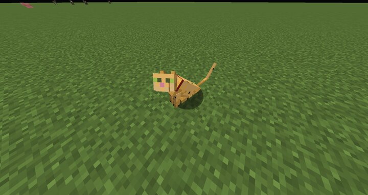 maui in minecraft for grian Minecraft Texture Pack